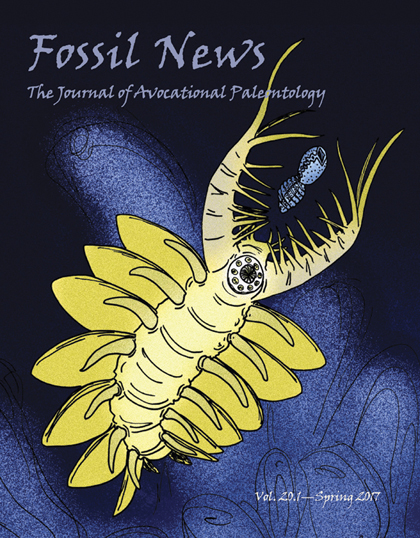 Spring 2017 – Fossil News Books